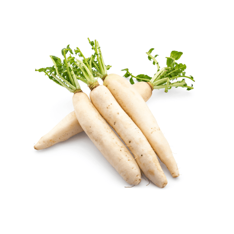 Organic (Desi) Radish /Muli Seeds(Pack Of - 50 Seeds)